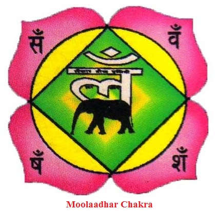 Mooladhar or Root Chakra | SmartAstroGuru